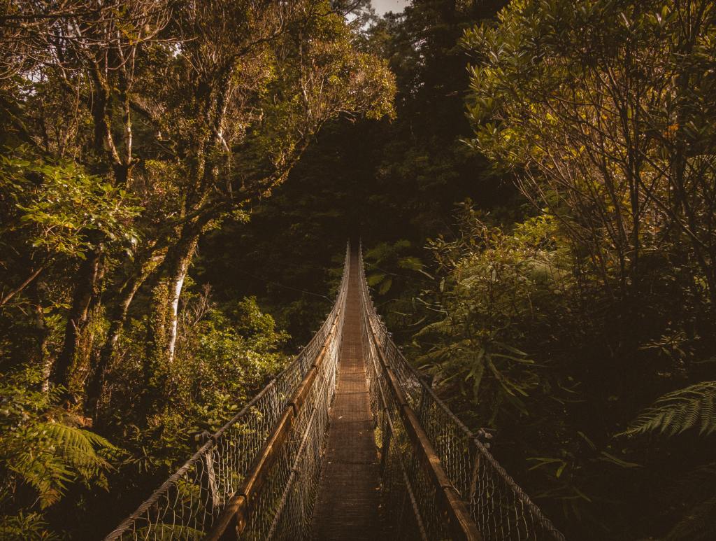 Te Araroa route planning